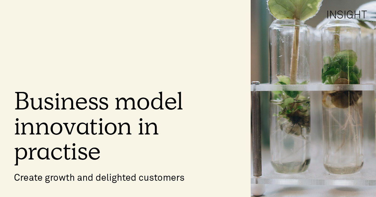 Business Model Innovation in practice | Implement