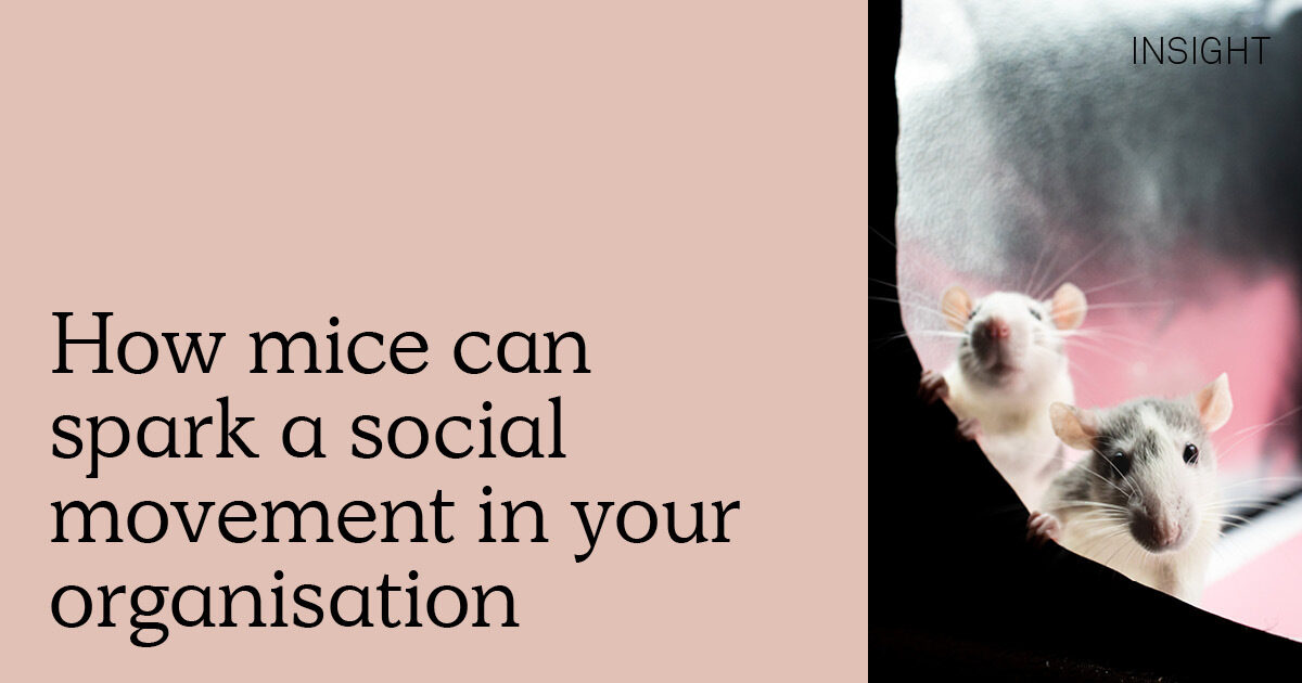 Trojan mice are small experiments that continuously… | Implement