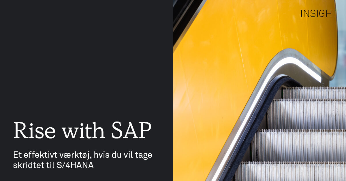RISE with SAP | Implement