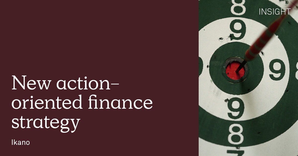 New action-oriented finance strategy | Implement